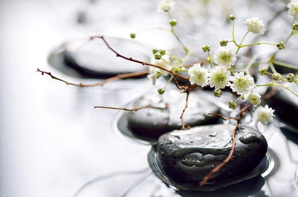 Preparatory and Basic Meditation – Daily Prana Preparatory and Basic Meditation – Daily Prana